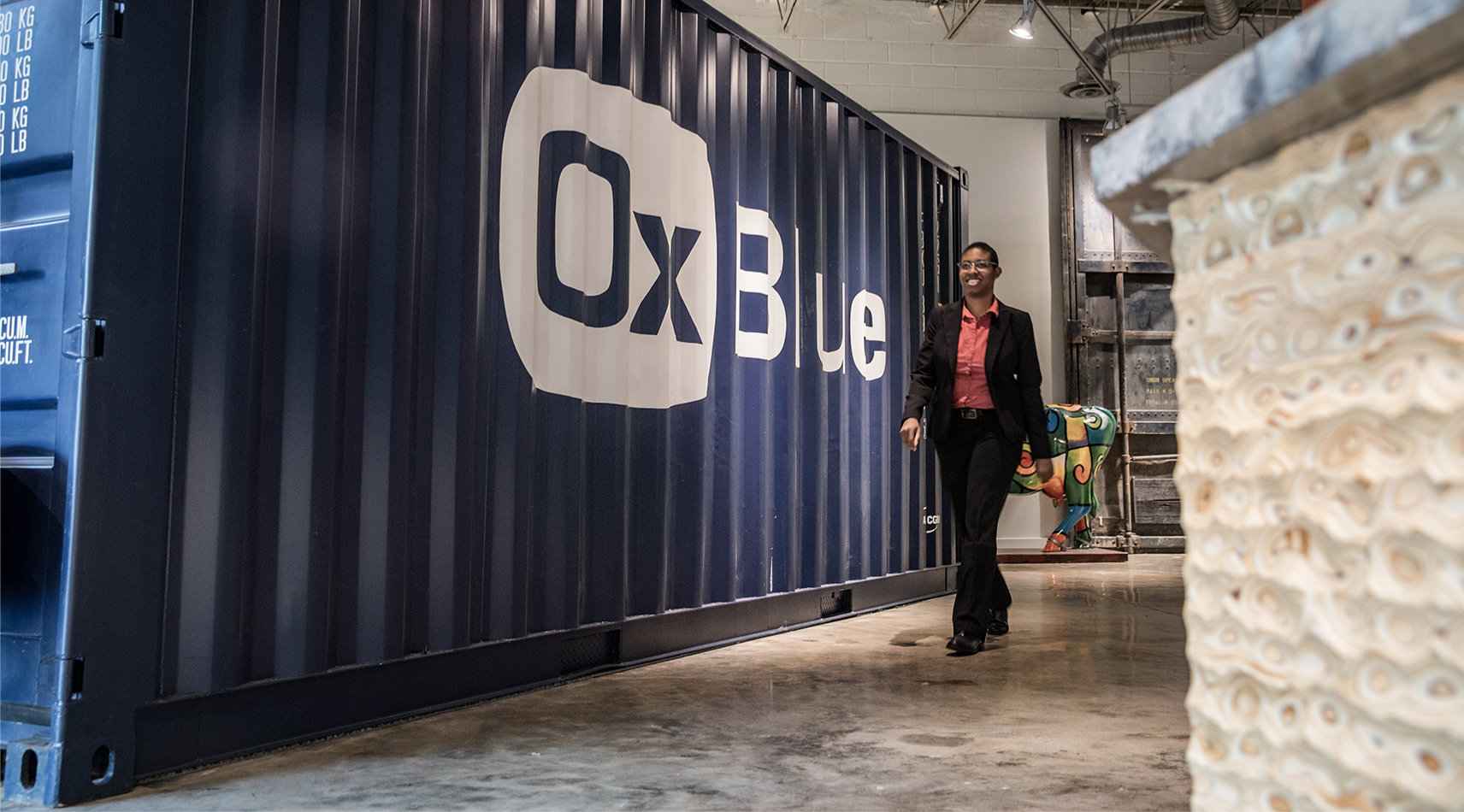 OxBlue Support | A team built around your needs